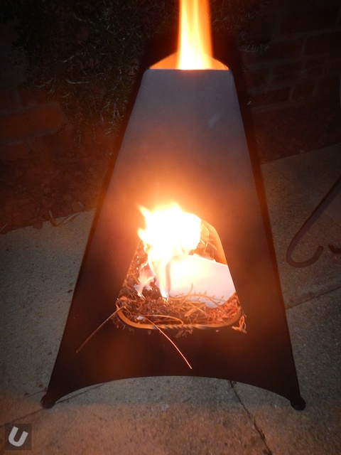 Chimini - Unsponsored