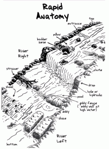 Kayak - William Nealy - Unsponsored